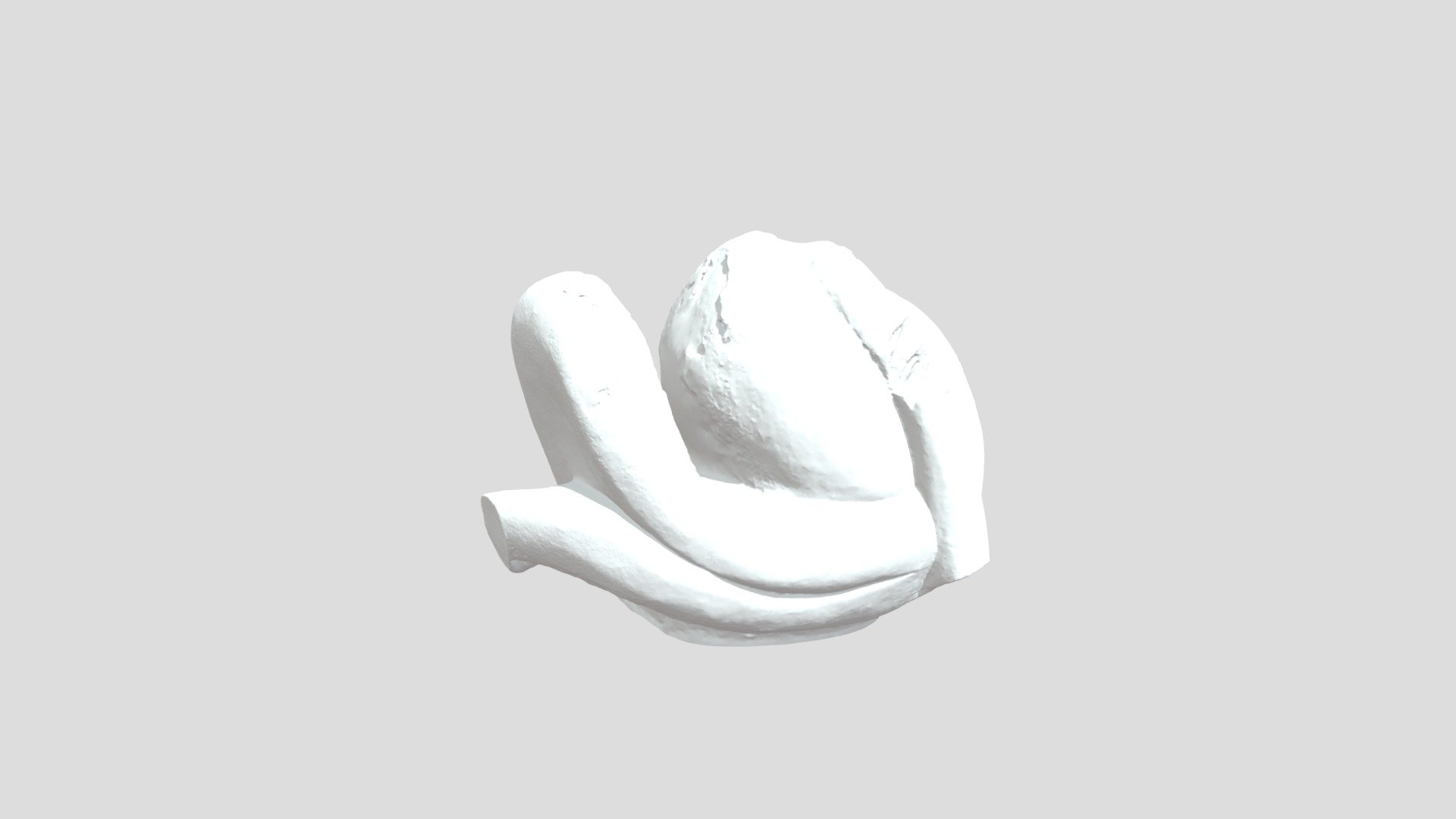 "Root" - 3D model by CzKn [c32d67d] - Sketchfab