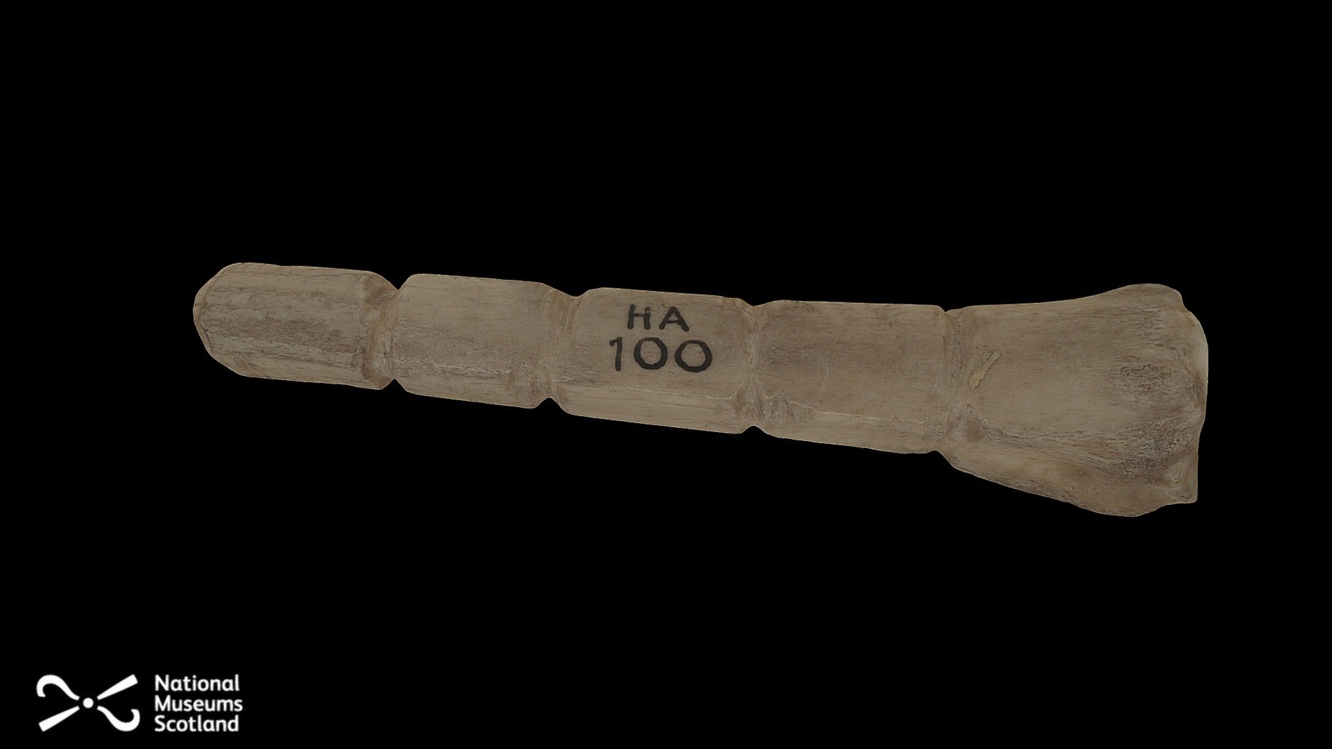 Notched bone, Skara Brae, Orkney - 3D model by National Museums ...