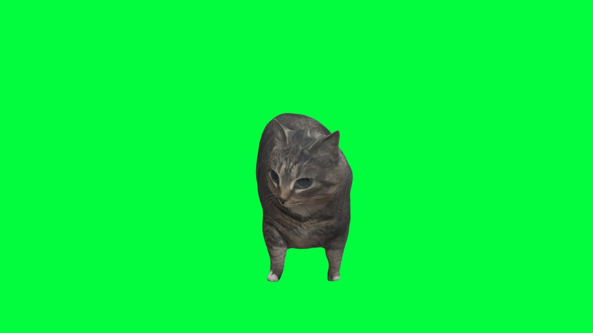oiiaioooooiai_cat - 3D model by Lykke1027 [c330d00] - Sketchfab