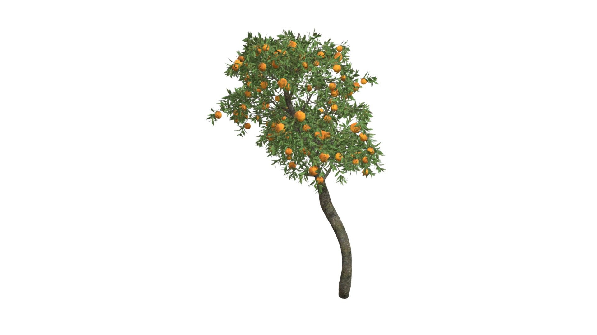 Orange Tree #02 - Buy Royalty Free 3D model by meshshape [c3429b9 ...