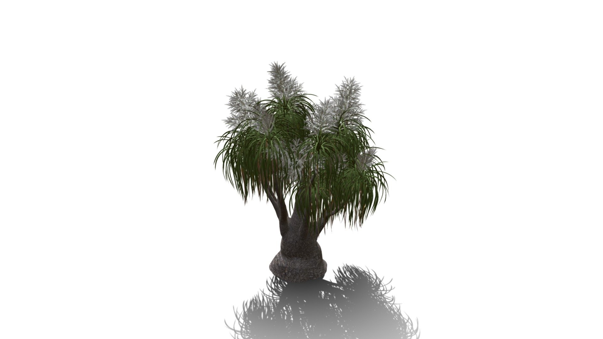 Realistic HD Elephant Foot (7/40) - Download Free 3D model by ...