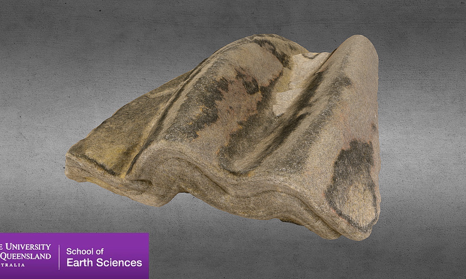 Folded Schist - 3D model by nate_siddle (@nate_sid) [c3485a5] - Sketchfab