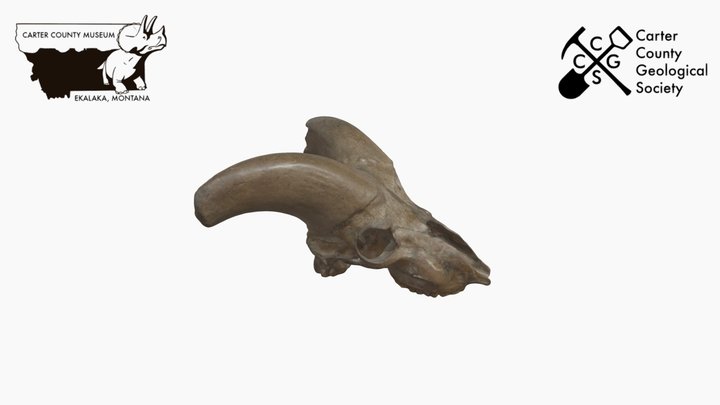 Badlands 3D models - Sketchfab
