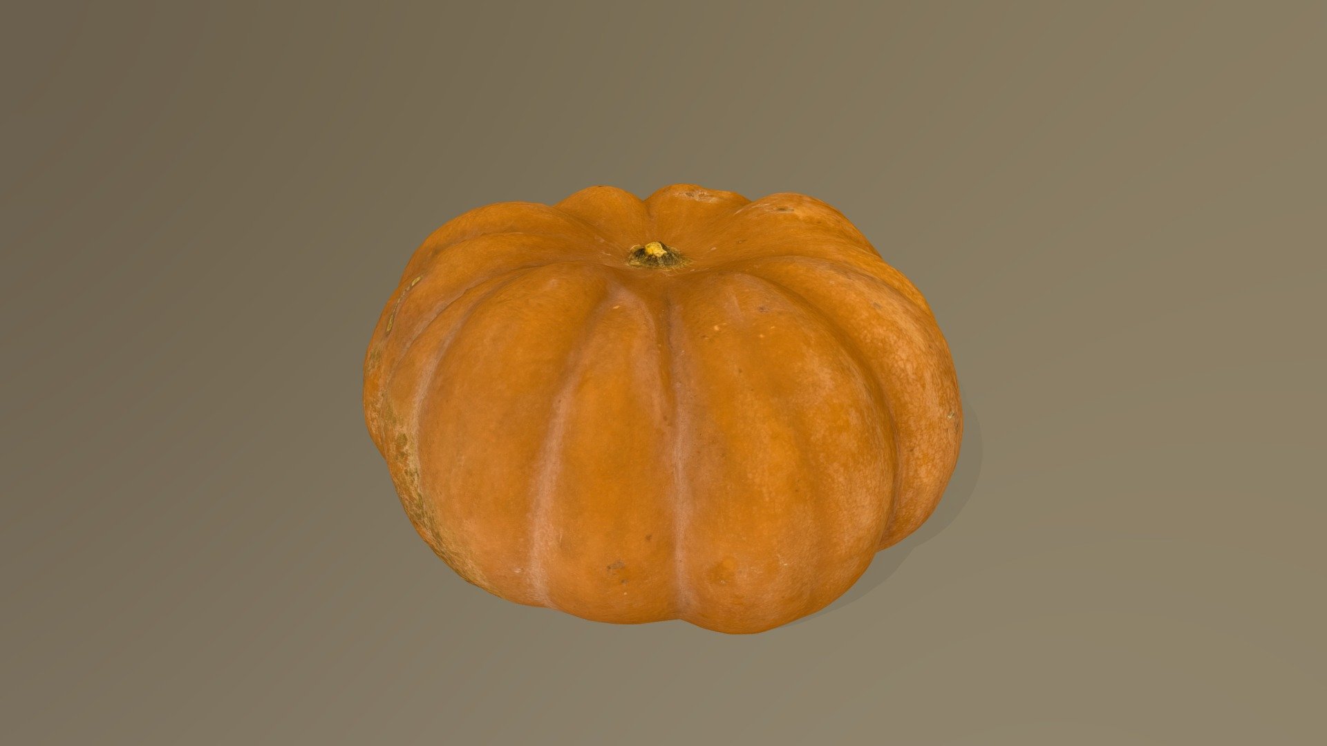 pumpkin_lp - Download Free 3D model by Specimen 3D (@specimen3d ...