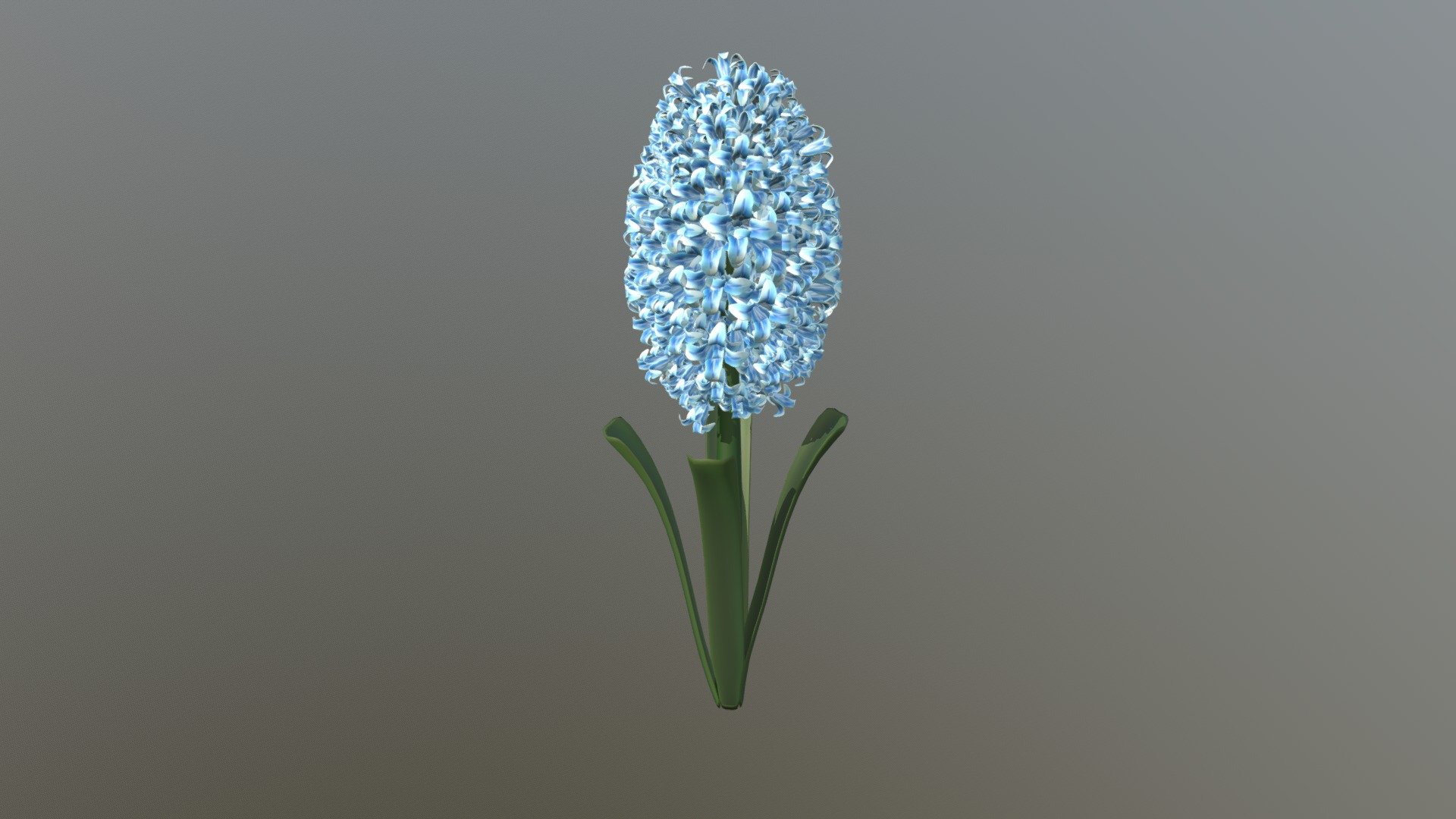 Hyacinth - 3D model by enricoleasa [c37b1d7] - Sketchfab