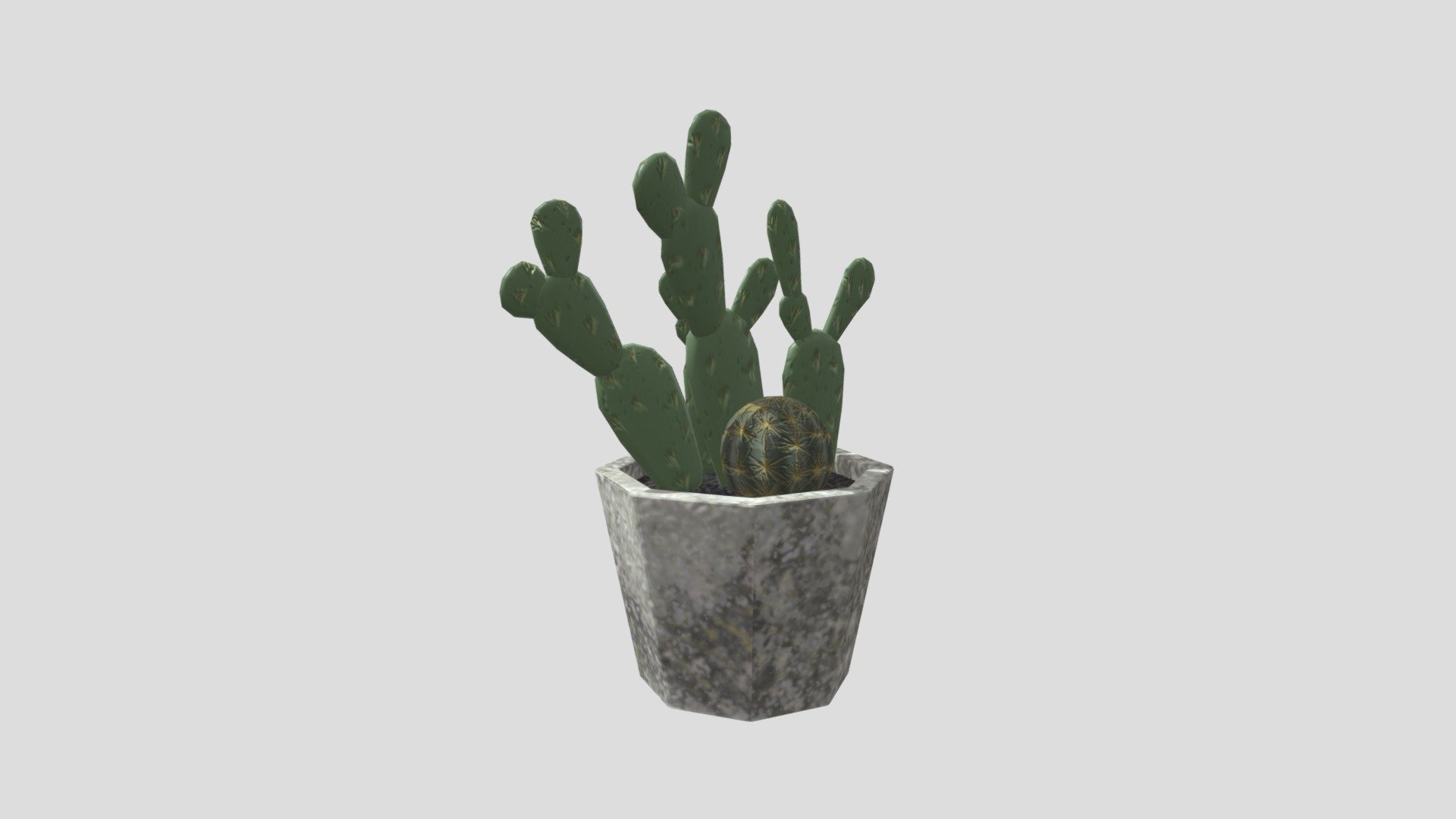 Cactus - 3D model by Mengliu (@cathlu0204) [c3832d0] - Sketchfab