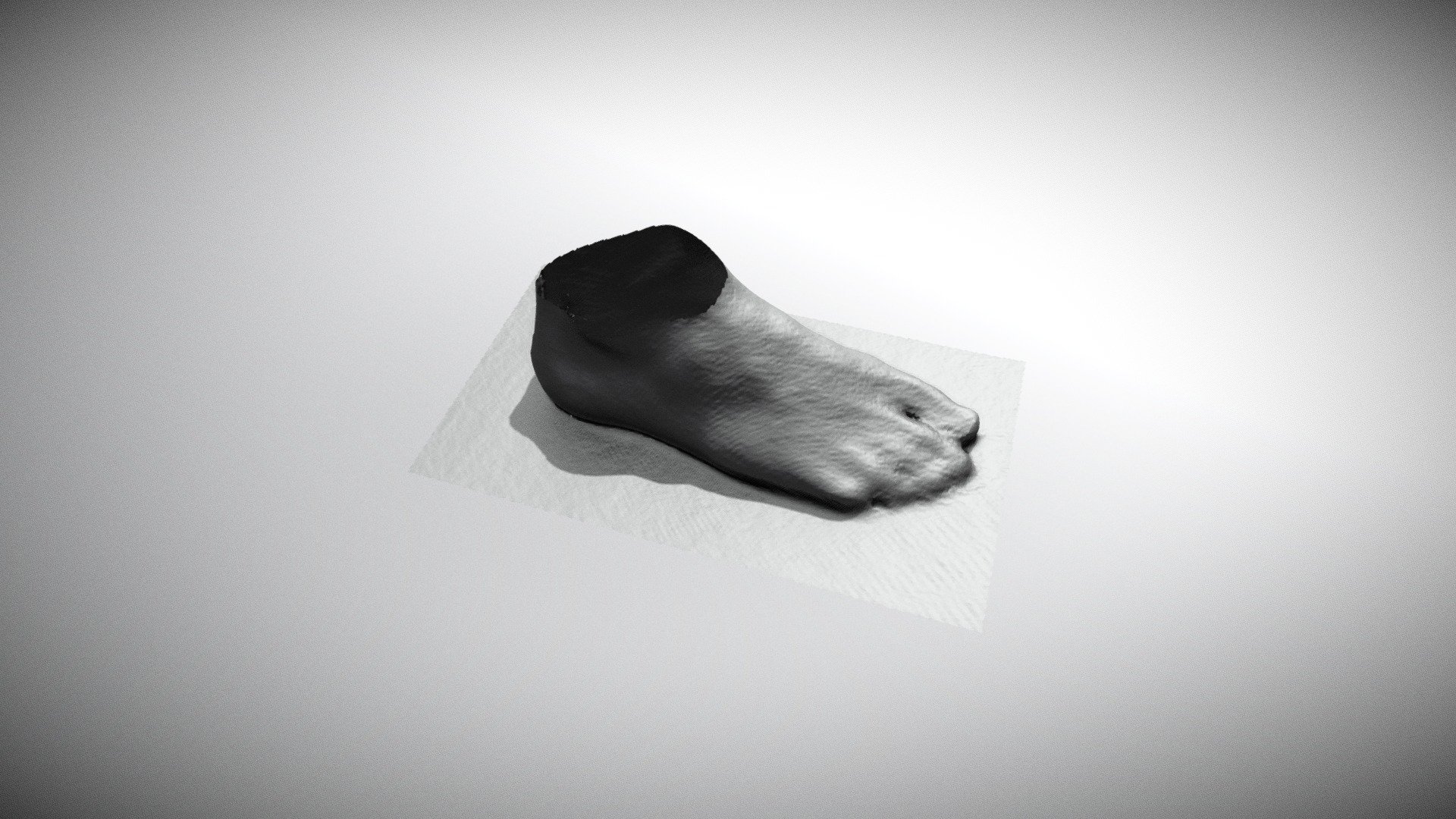 foot scan on floor - Download Free 3D model by Scandy [c38bd9e] - Sketchfab