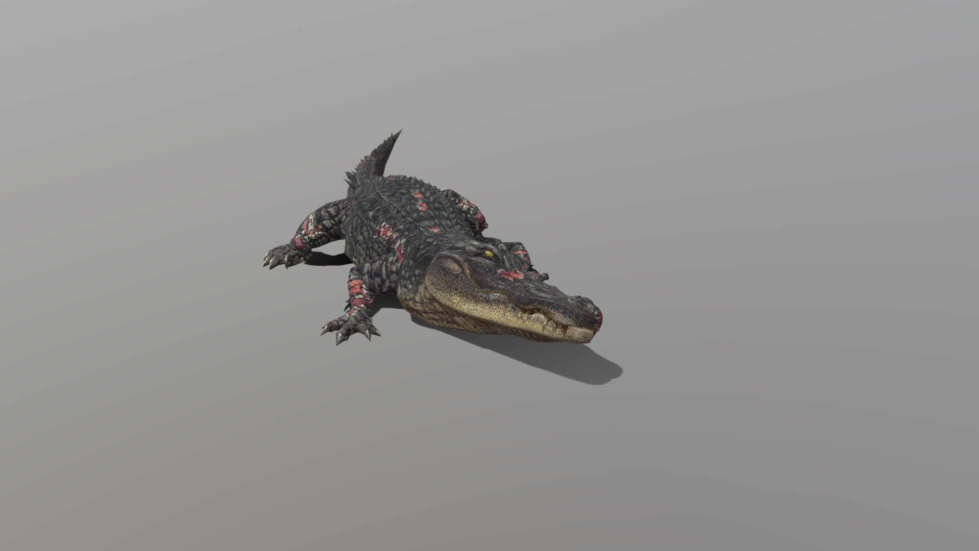 Alligator - Download Free 3D model by Lahcen.el [c38ee45] - Sketchfab