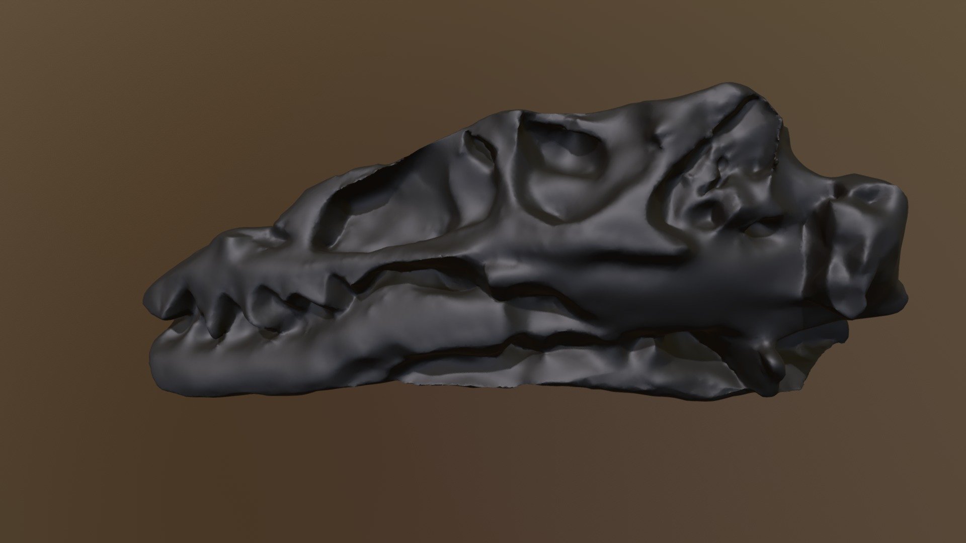 Skull of Dilong, early tyrannosaur - 3D model by jrhutchinson [c3921fb ...