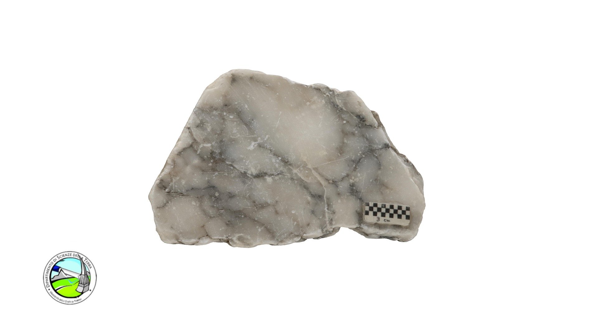 Anidrite con tessitura tipo “chicken-wire” - 3D model by Dipartimento ...