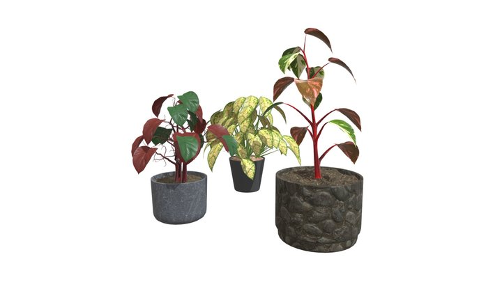 Bloodleaf 3D models - Sketchfab