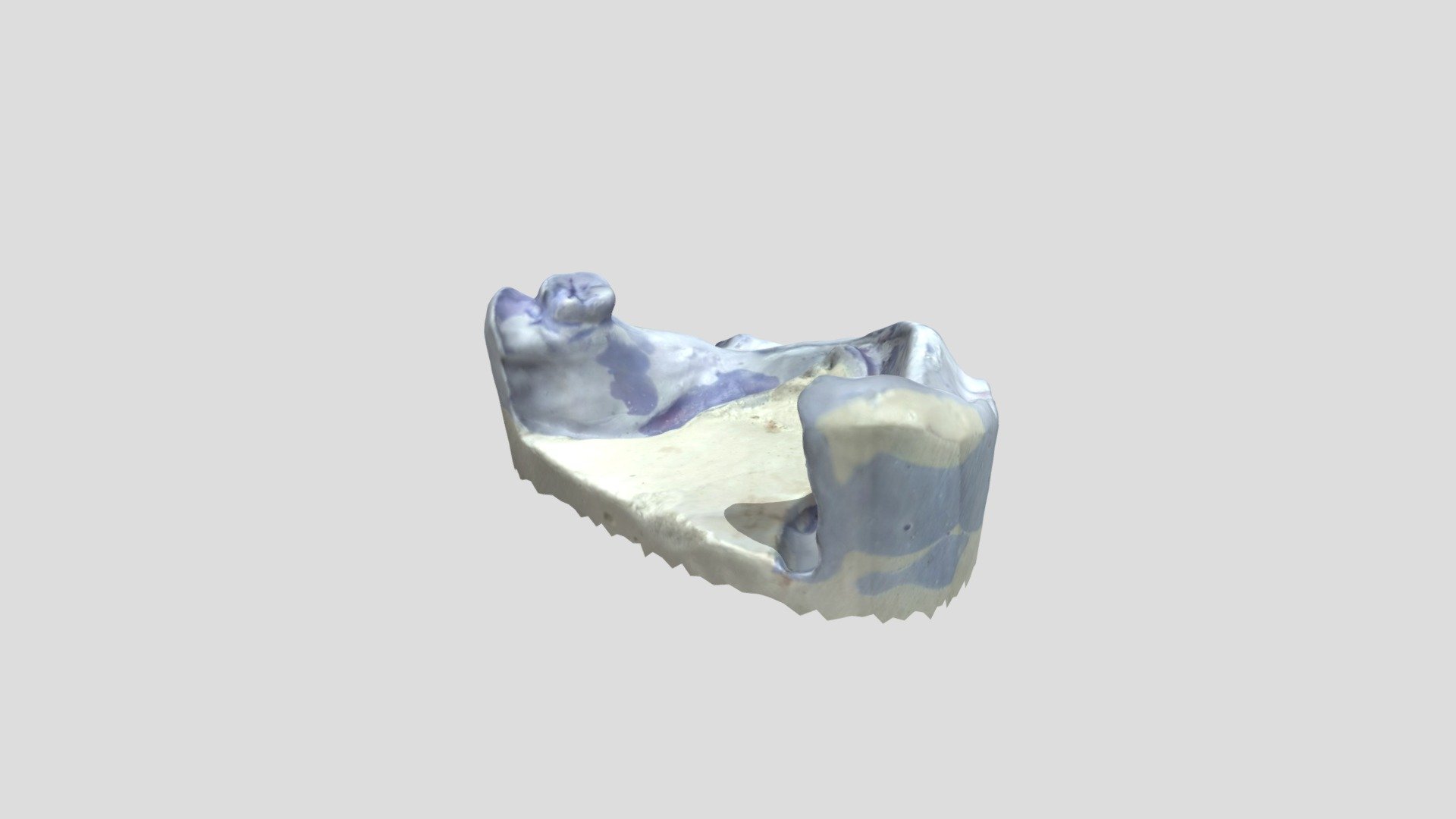 Single Denture Lower Cast - Download Free 3D model by Omar Eiada ...