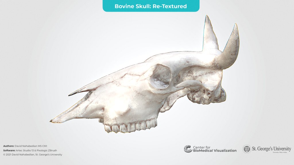 Veterinary - A 3D model collection by benguhime - Sketchfab