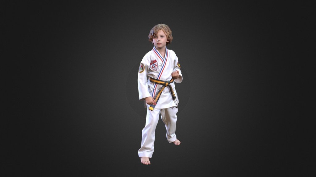 Liam Taekwondo - 3D model by EMULAT3D [c39a53a] - Sketchfab