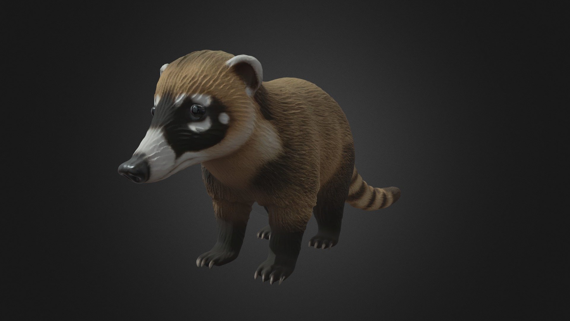 Small Coati Standing Realistic - Download Free 3D model by Pigcraft ...