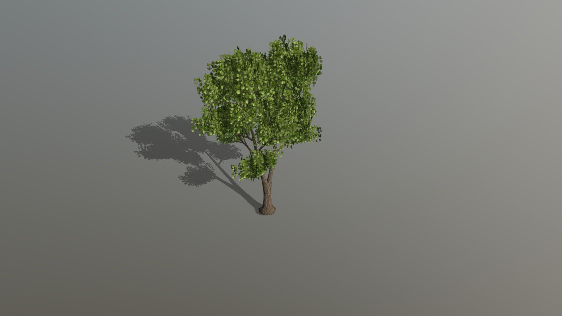 Tree 3d model linden tree - Download Free 3D model by High Quality Work (@Varleyhal) [c3a7af0 ...