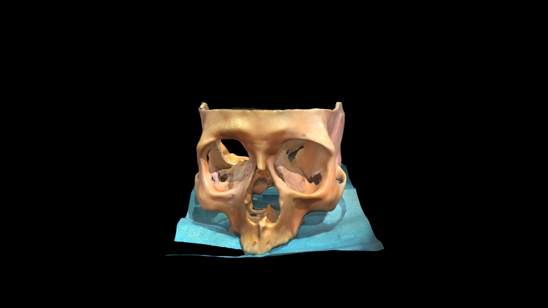 TOA Step_4 - 3D model by Anonymous (@anonymus.) [c3a816c] - Sketchfab
