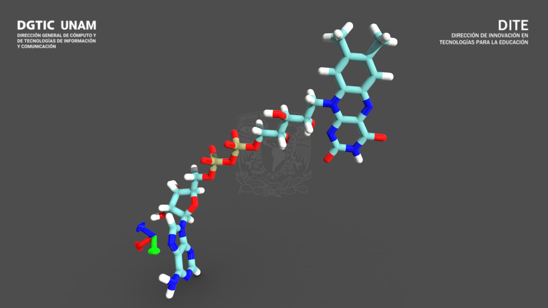 Eve3D Nucleótido Coenzima FAD - 3D model by UNAM | DGTIC | DITE | DRDE (@DRDE_UNAM) [c3aa60e ...