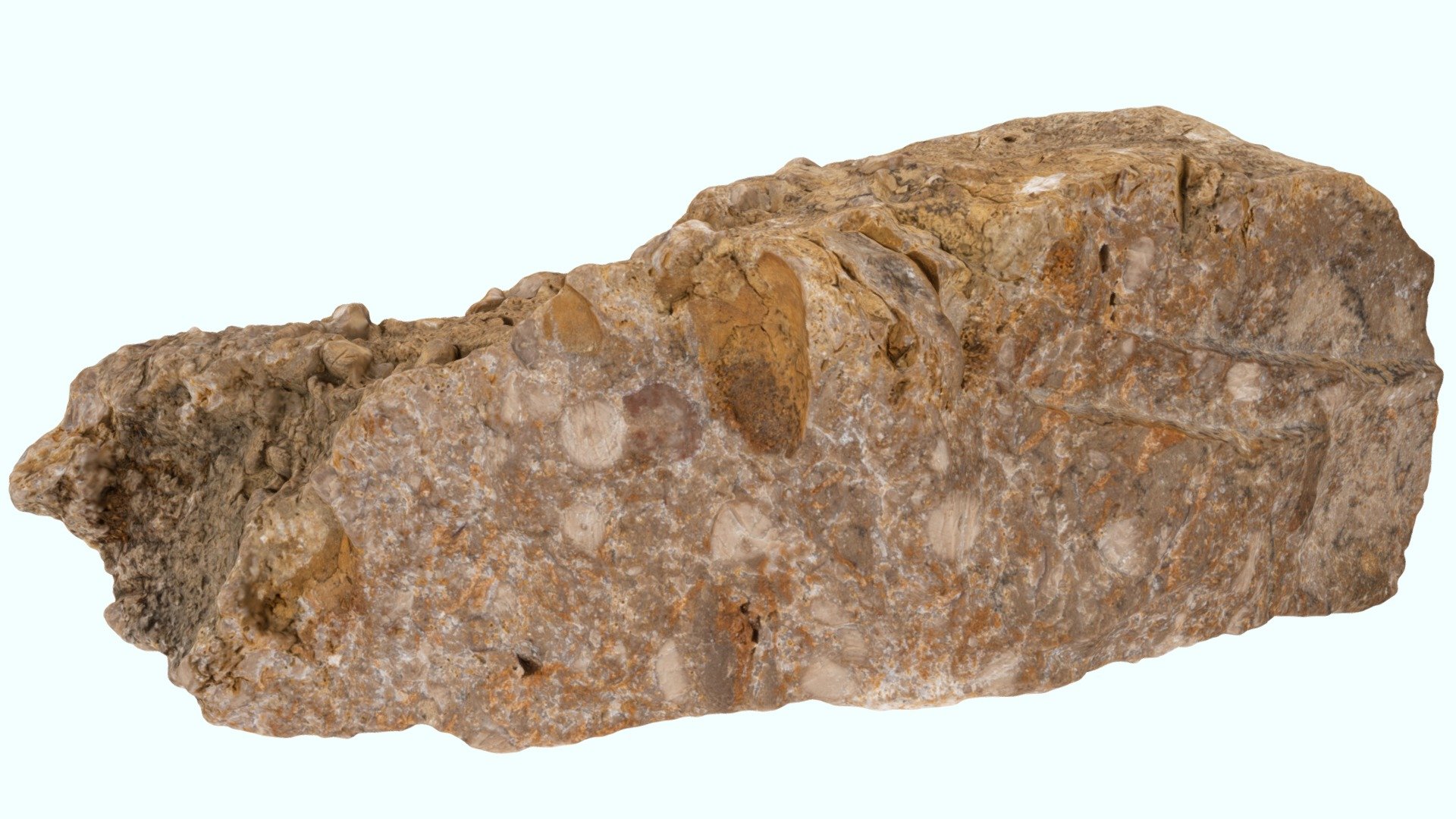 Calcaire à entroques - Download Free 3D model by Ecole Nationale ...