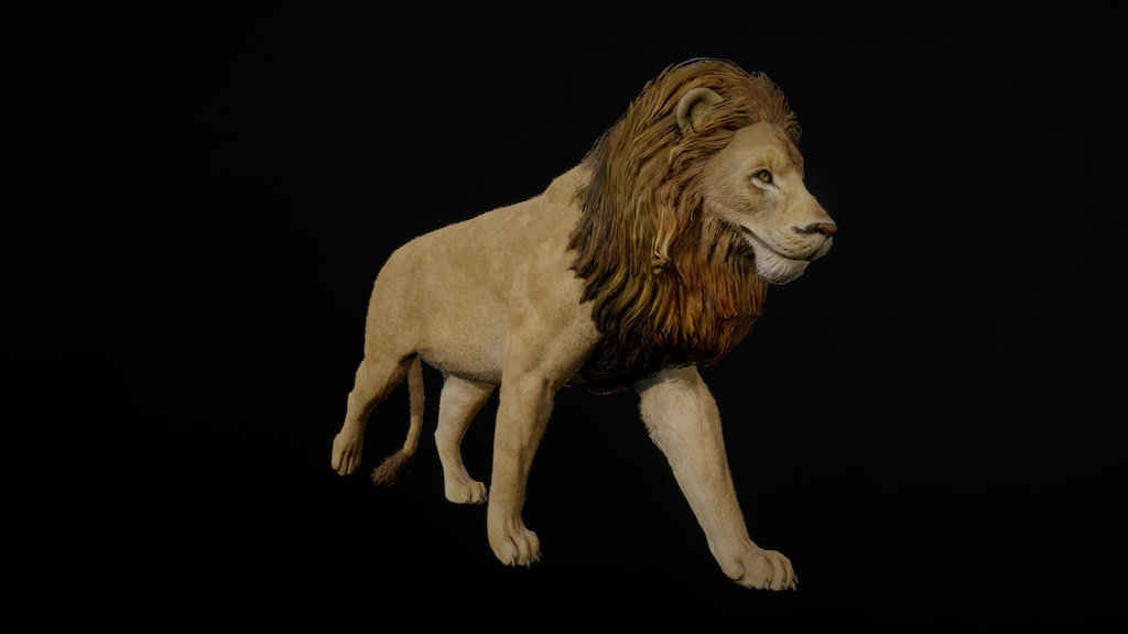 lion - A 3D model collection by yangyuehui (@jywww) - Sketchfab