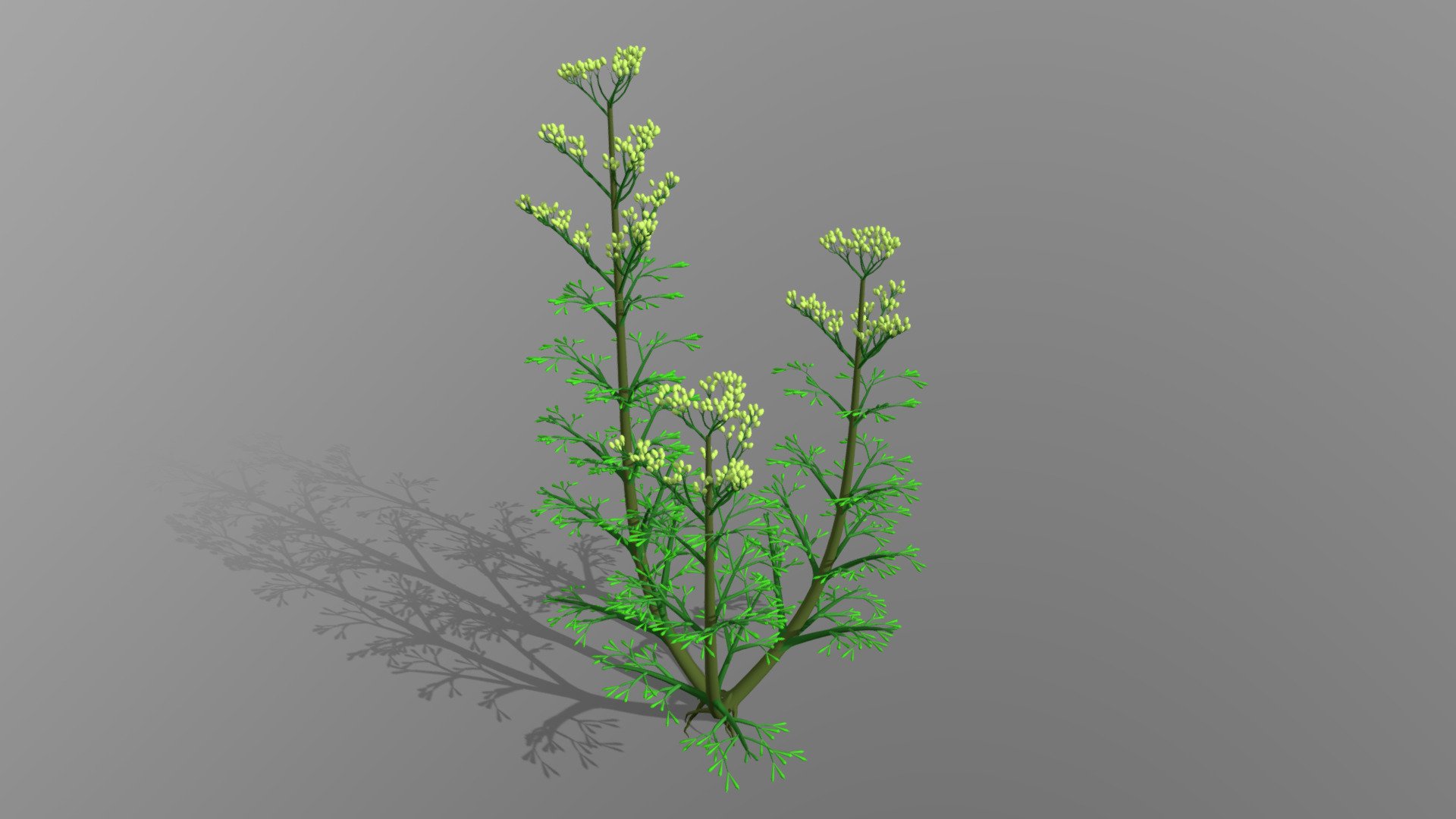 Trimerophyton - 3D model by Paleobiome [c3bc6b0] - Sketchfab