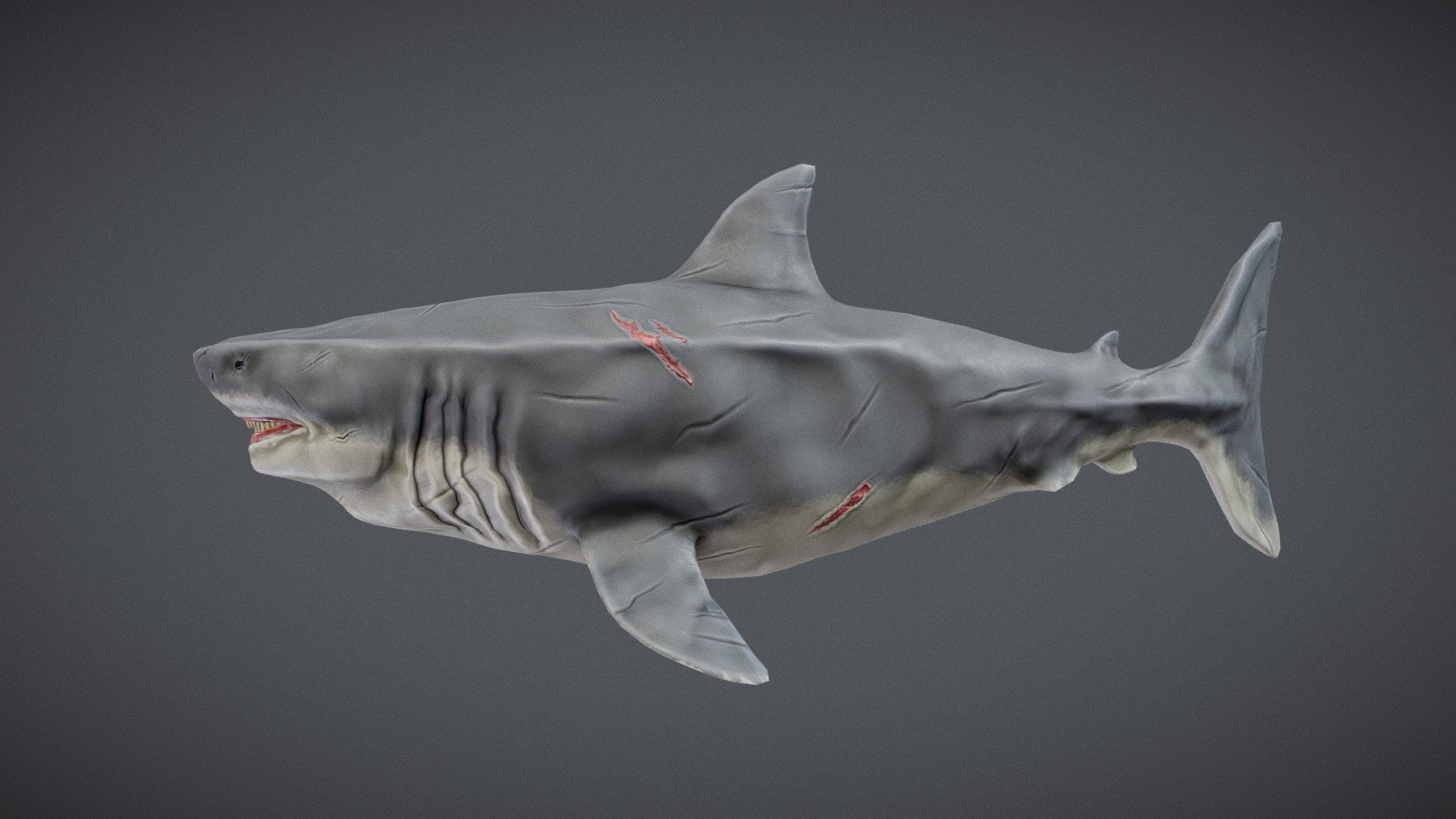 STYLIZED SHARK - 3D model by user16.1914 [c3c932f] - Sketchfab