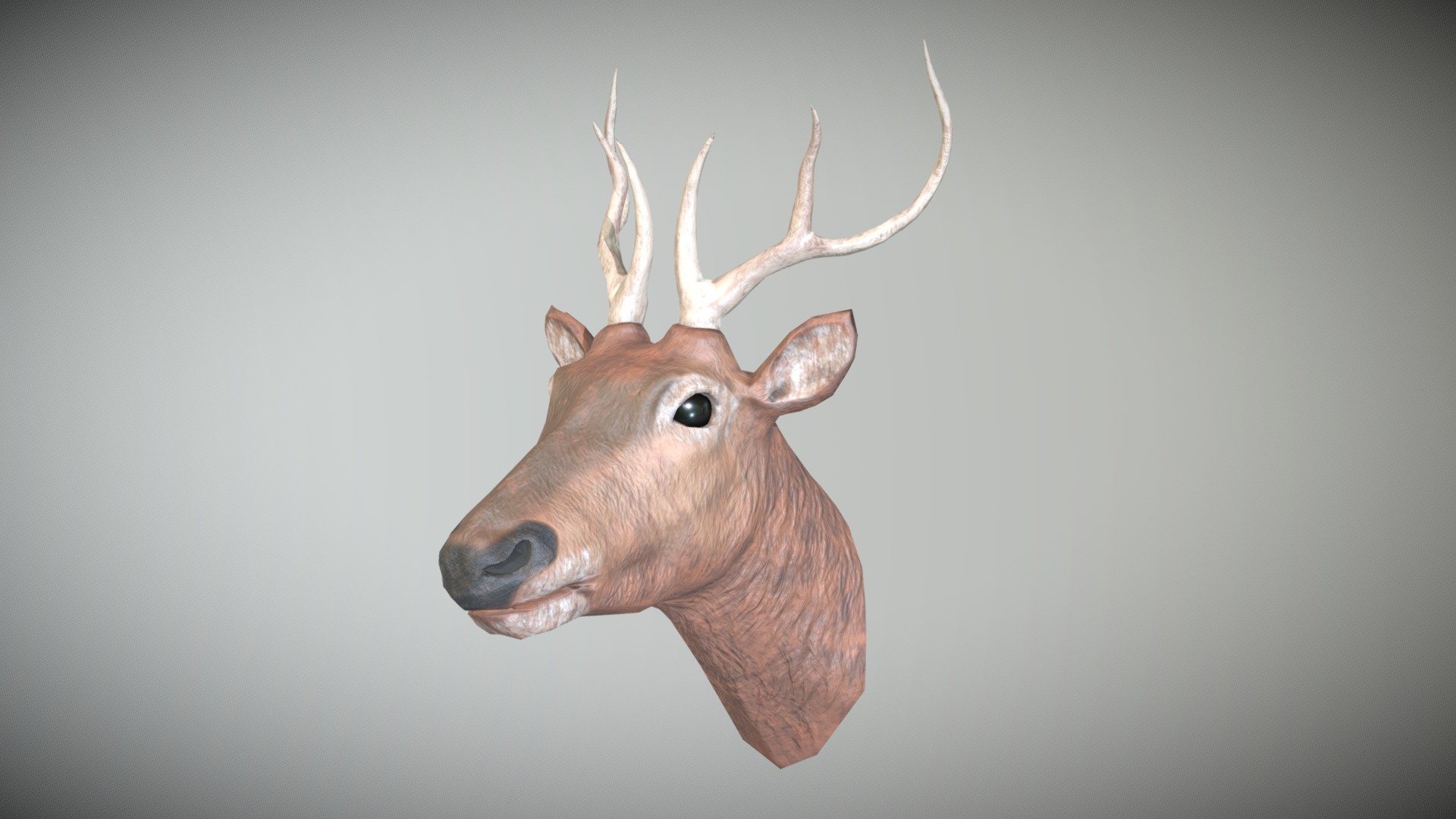 Elk Head Decor - 3D model by rexliang [c3cbcd4] - Sketchfab