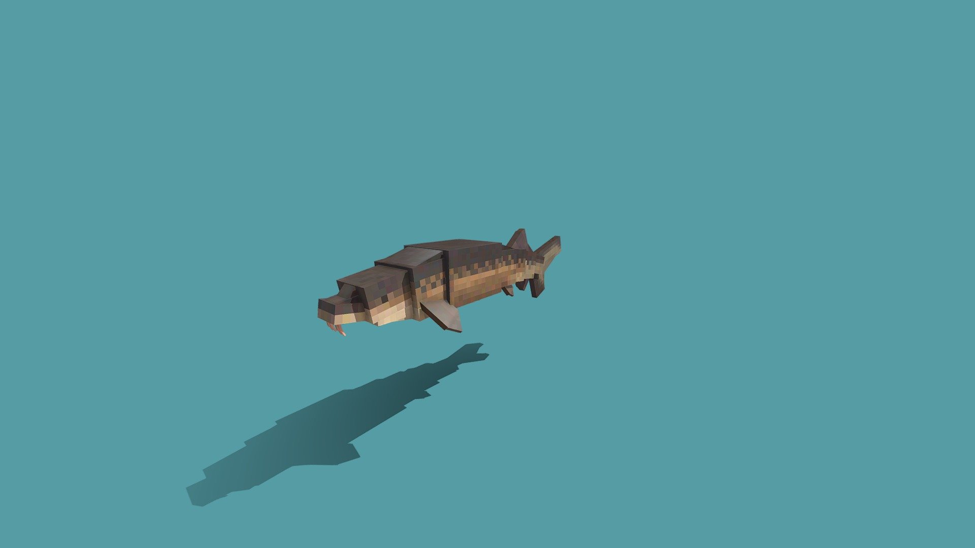 Lake Sturgeon - 3D model by juanfeliperincons [c3cd137] - Sketchfab