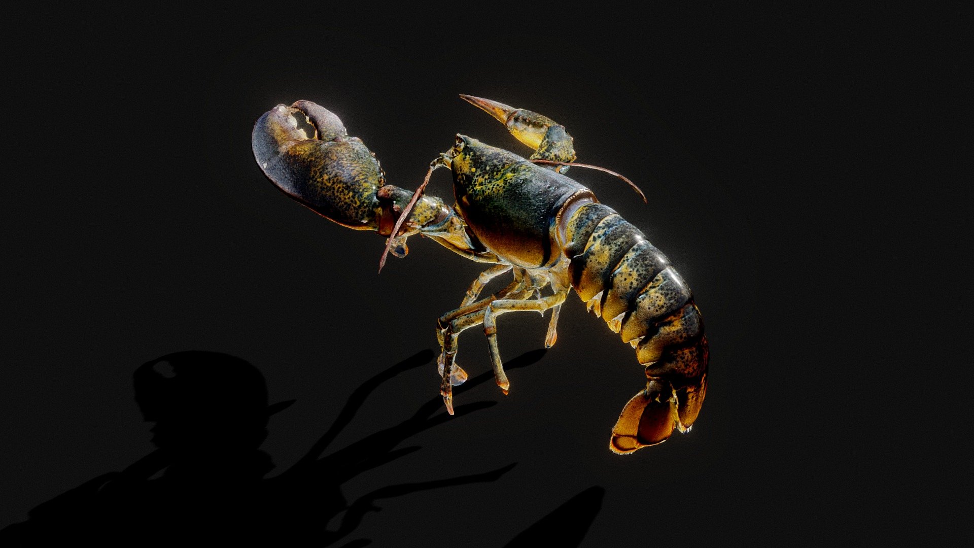 lobster omar - Download Free 3D model by georgiyhazankin [c3d365a ...
