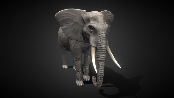 Digitigrade 3D models - Sketchfab