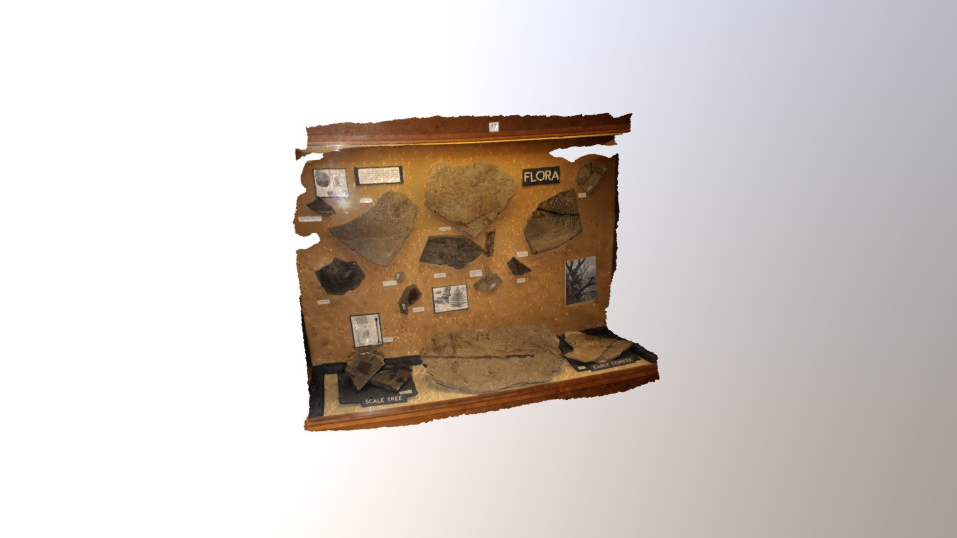 Display Case 17 [Test]] Hamilton Quarry - 3D model by ESUEarthSci ...