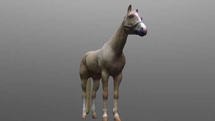 Horse-horses 3D models - Sketchfab