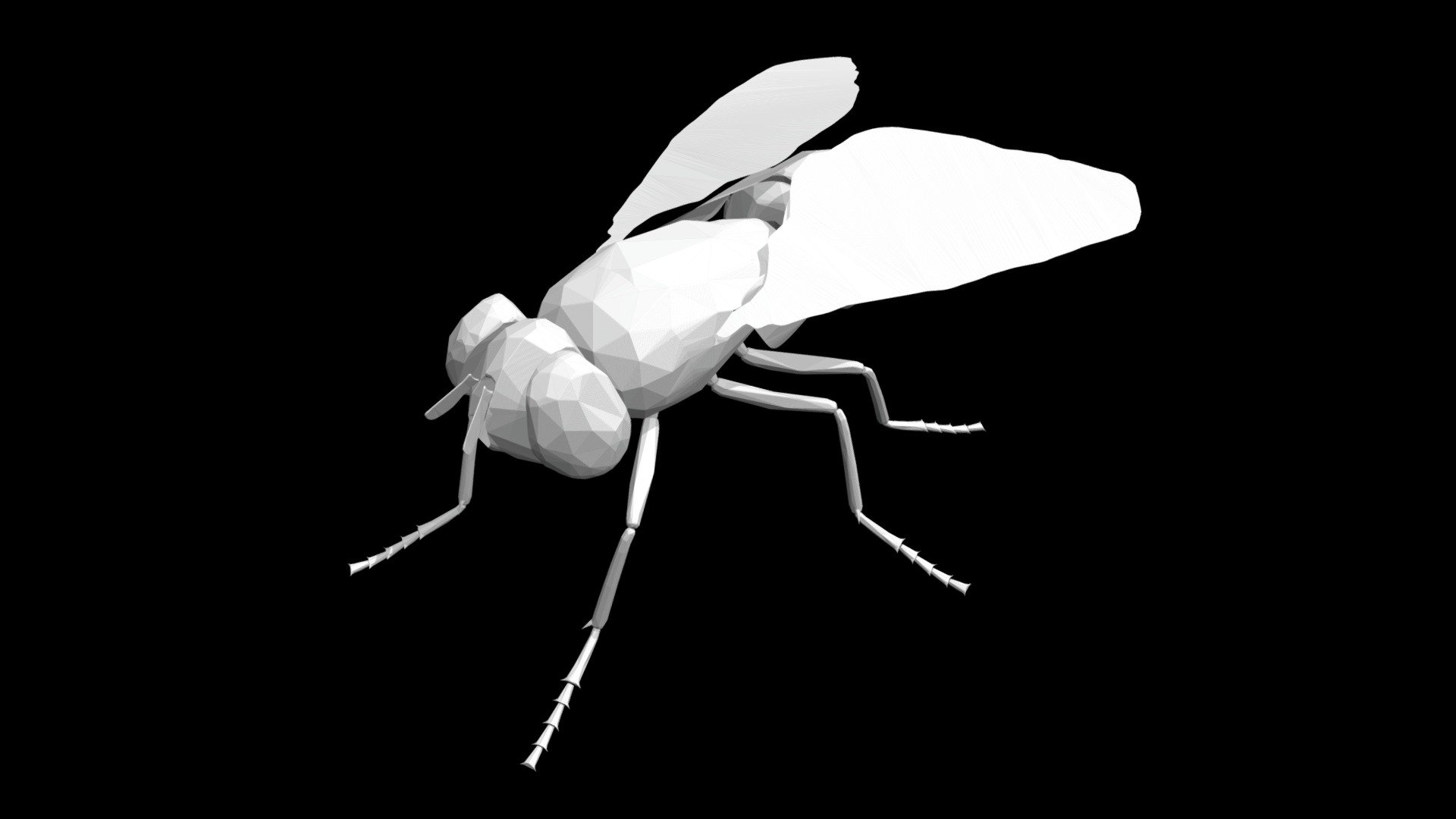 FLY LOWPOLY - Buy Royalty Free 3D model by DTA DESIGN STUDIO ...