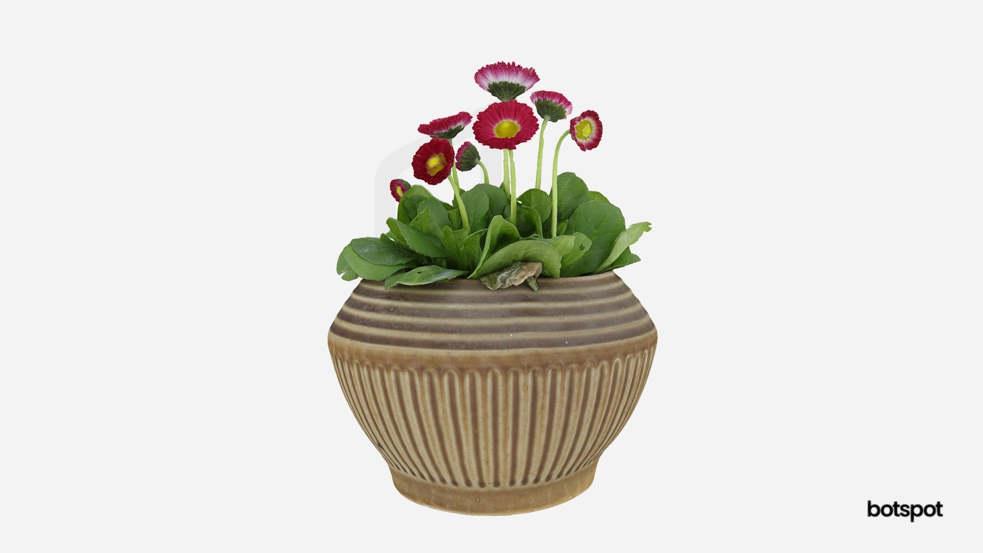 Flower pot - 3D model by botspot (@botspot3d) [c3e83cb] - Sketchfab