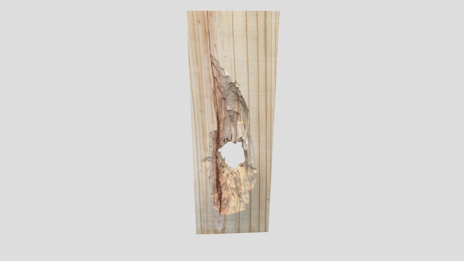 Wood Bullet Hit - Shotgun - Download Free 3D model by zacharyvanhoy ...