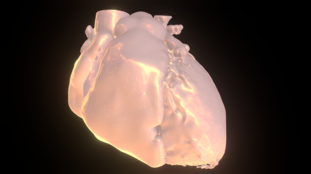 Lab Standard Heart Model MK3 [CT data]. - Download Free 3D model by ...