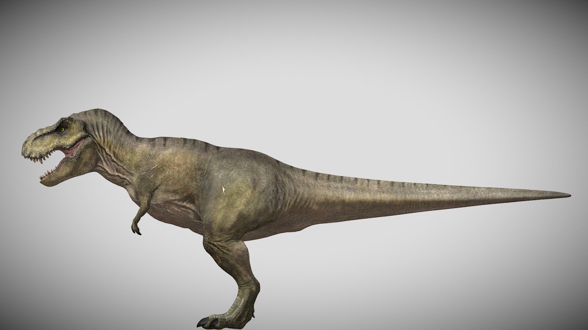 JWE3 Scarred Tyrannosaurus Rex - Download Free 3D model by ...