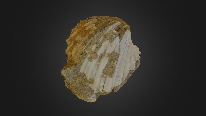 Elio Lippolis (@ElioLippolis) - Sketchfab