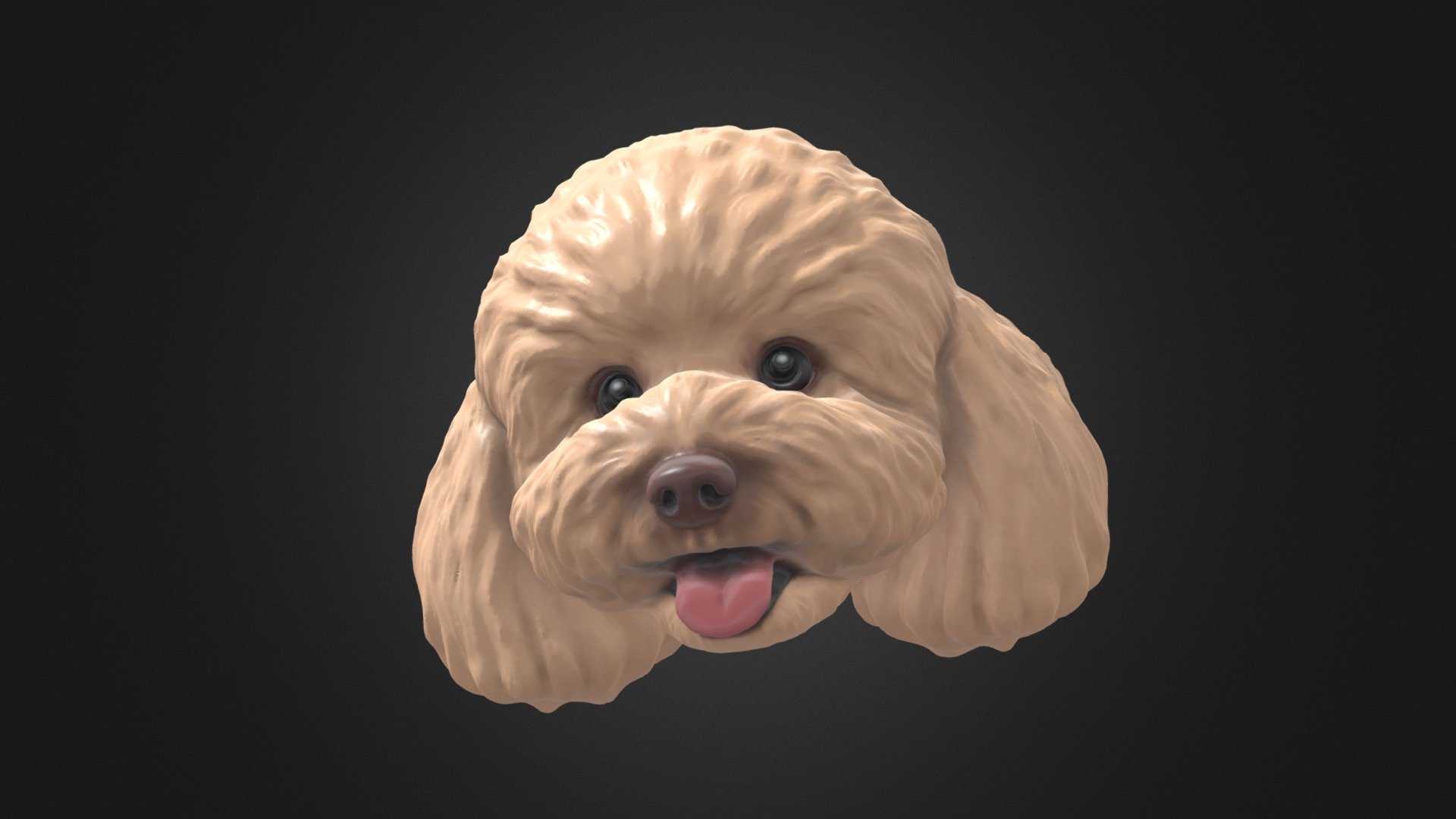 Mandy's Poodle model - 3D model by Seed by mi (@seedbymi) [c40d755 ...