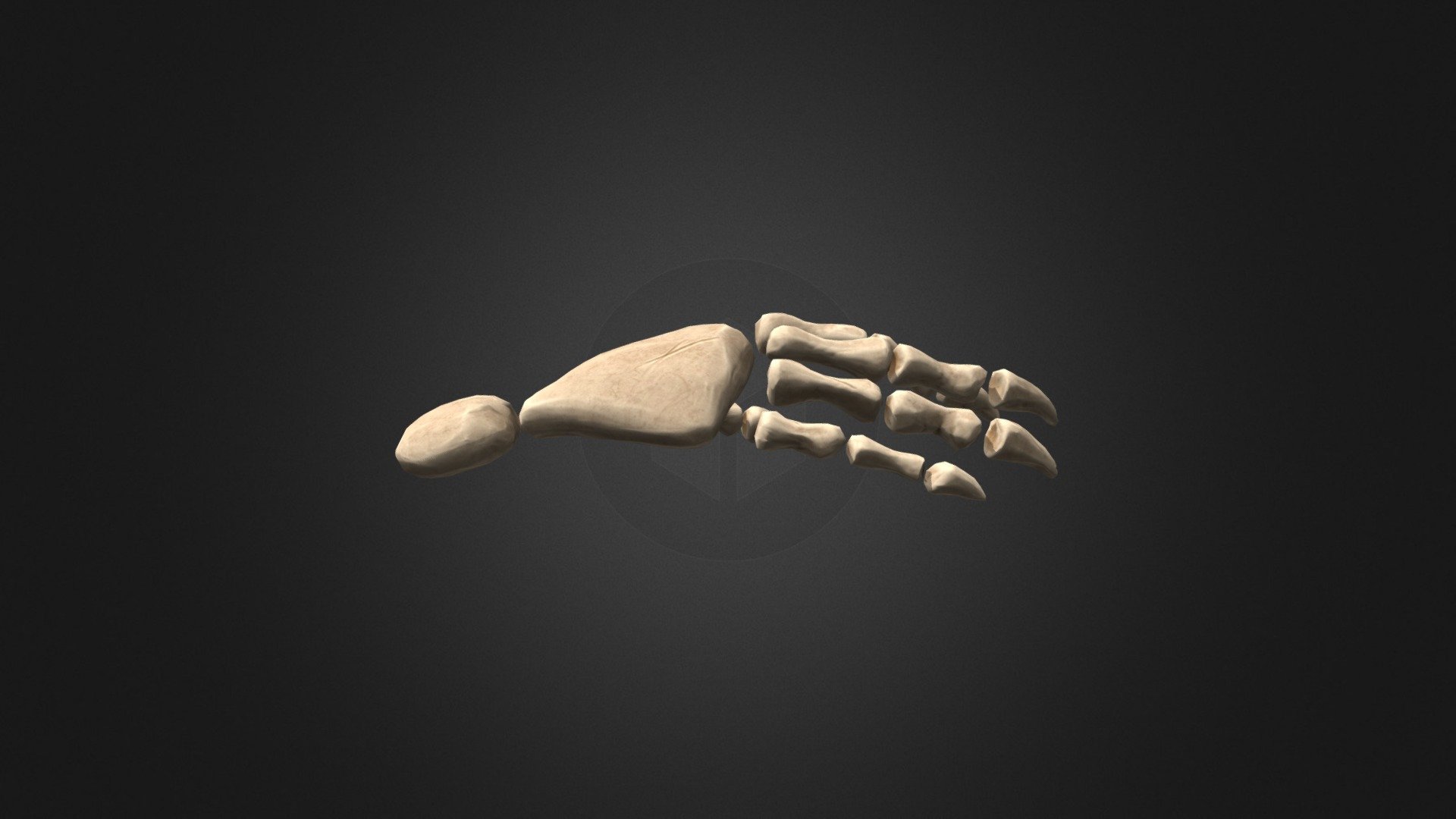 Skeleton Hand Cartoon - 3D model by Kiasheo [c41059c] - Sketchfab