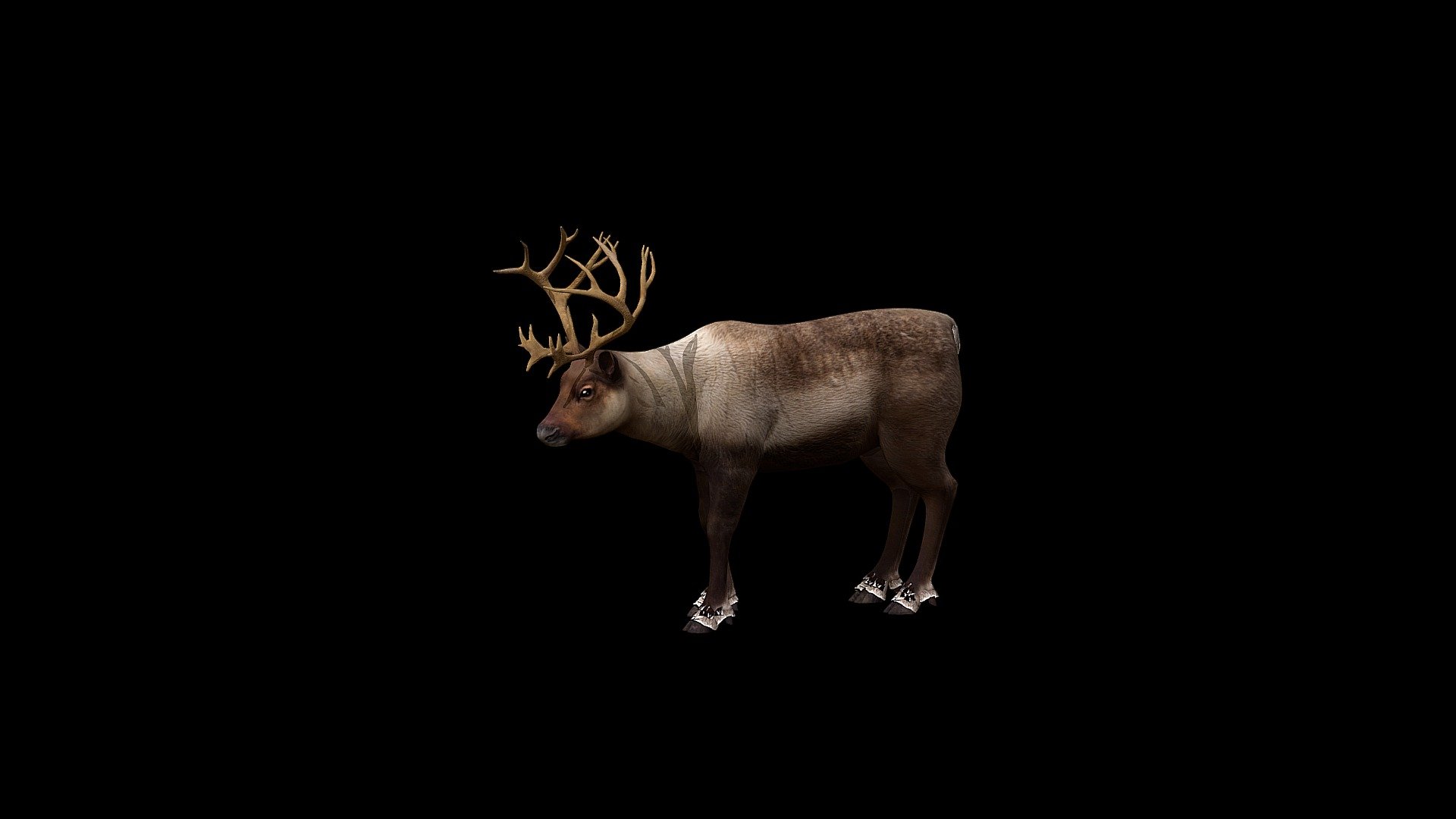 2 - 3D model by Max.Moses [c41183b] - Sketchfab