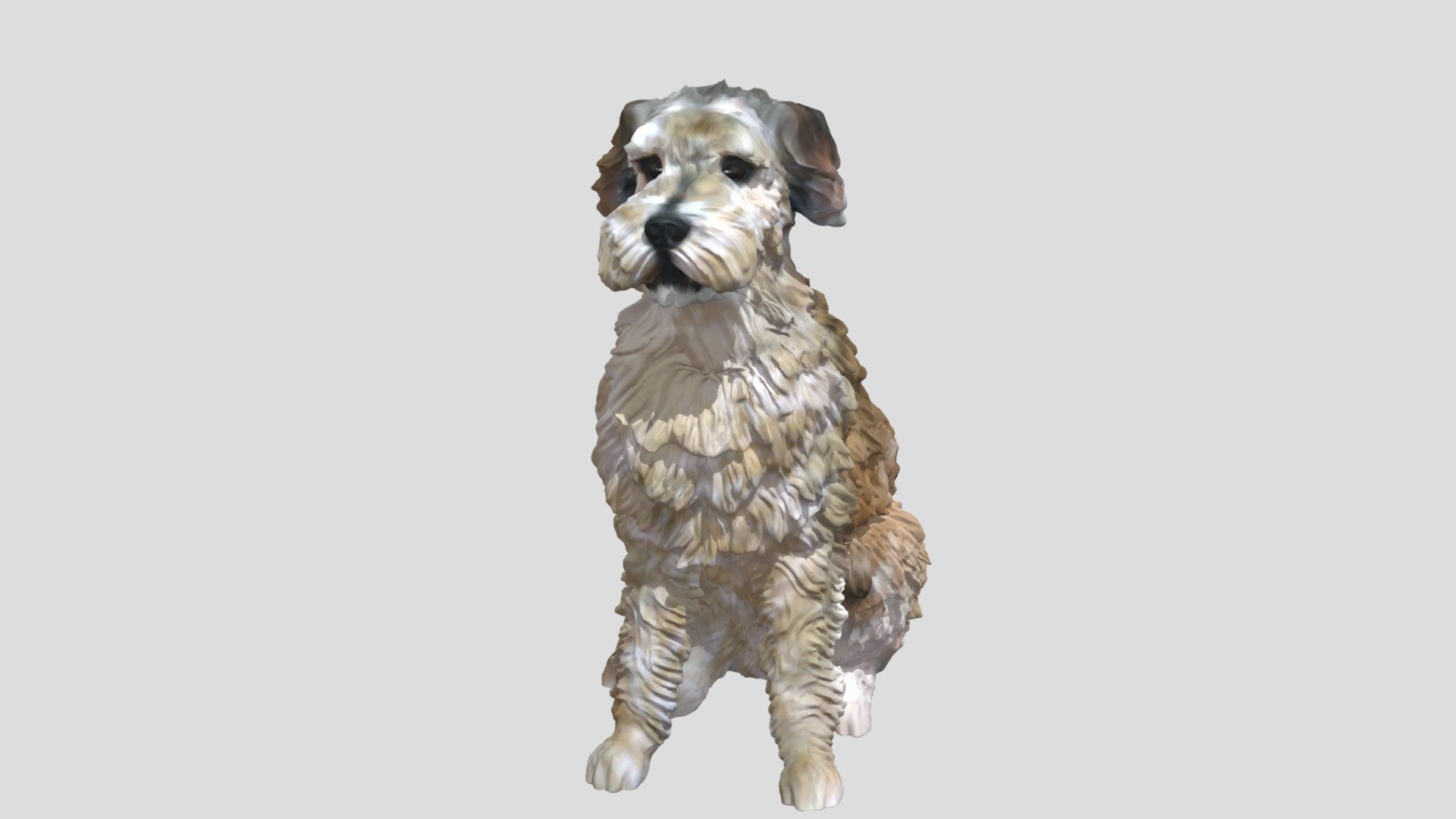 1911006- Casey- Cross - 3D model by Arty Lobster - Pet Sculptures Made ...