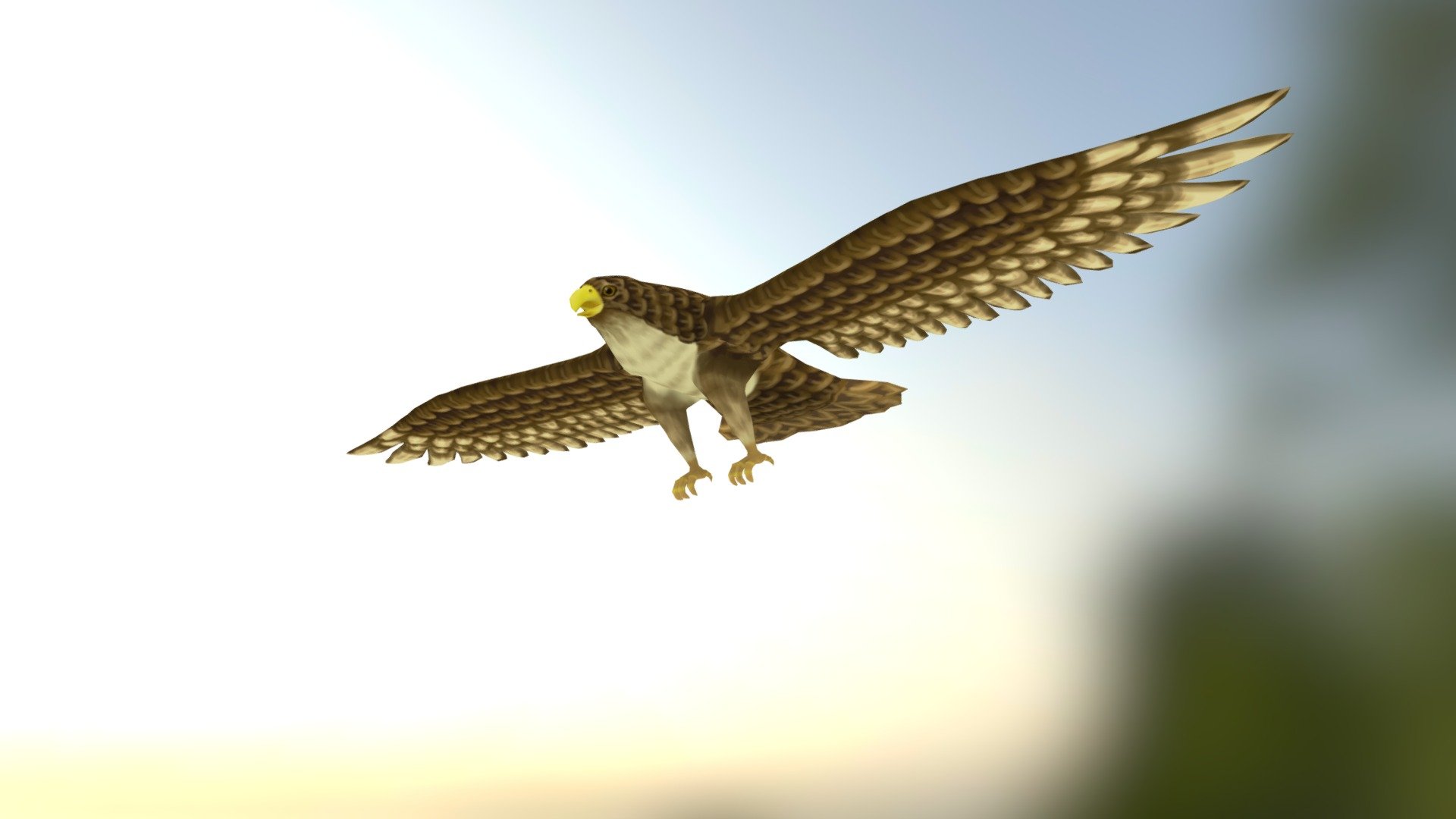 Falcon - 3D model by MMKH [c4159cd] - Sketchfab