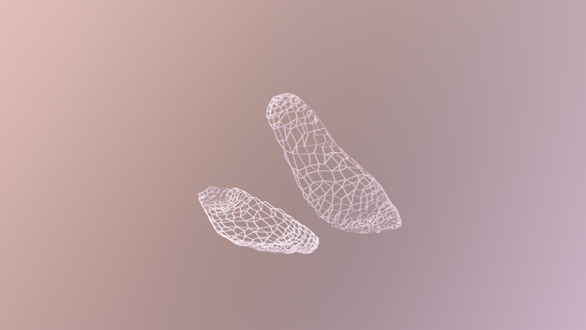 Empreinte de pied Voronoï - 3D model by valentinclaude [c41bf4f ...