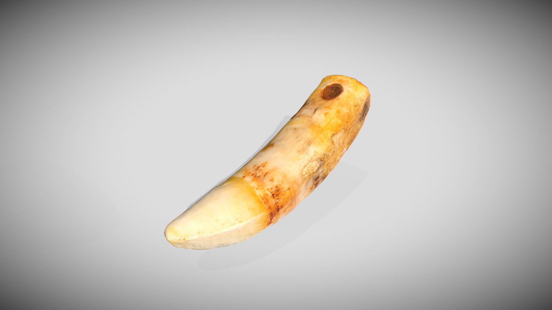 Alligator Toe Pendant - 3D model by Pixel Preservation ...