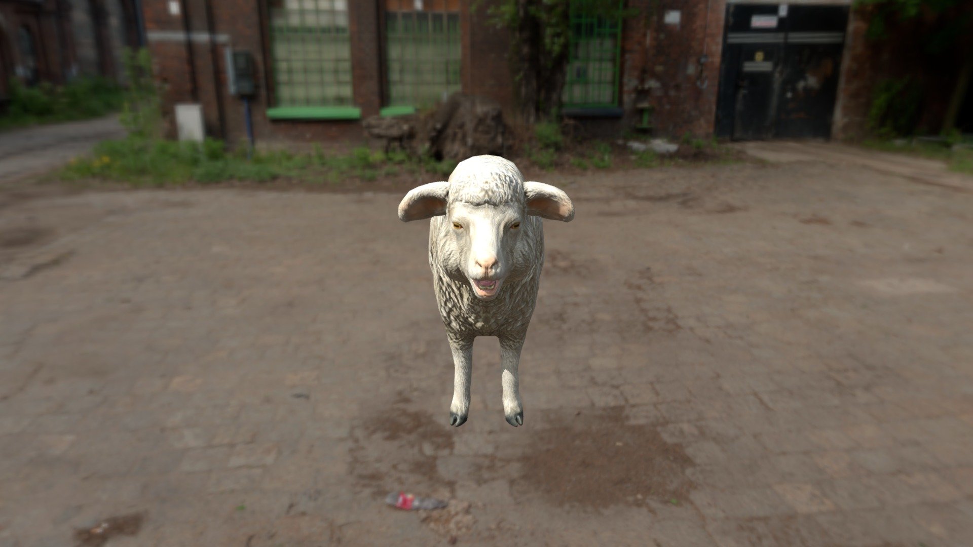 Sheep - 3D model by wetpwnage [c4200fa] - Sketchfab