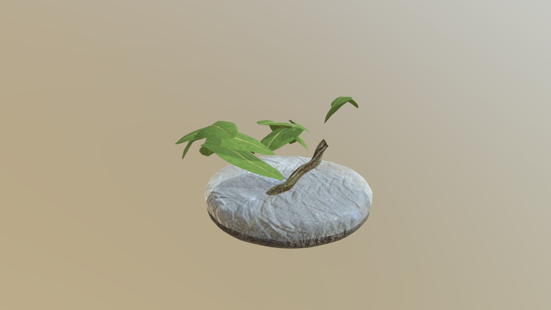 Realistic Red Eye Tree Frog Habitat - 3D model by Jonathan Luther ...