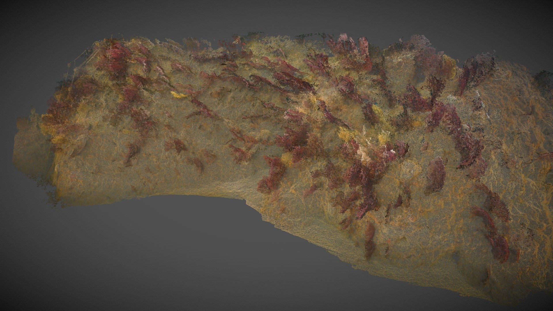 Punta Manara Project - Day 3 - Rampazzo point - 3D model by Reef Alert ...