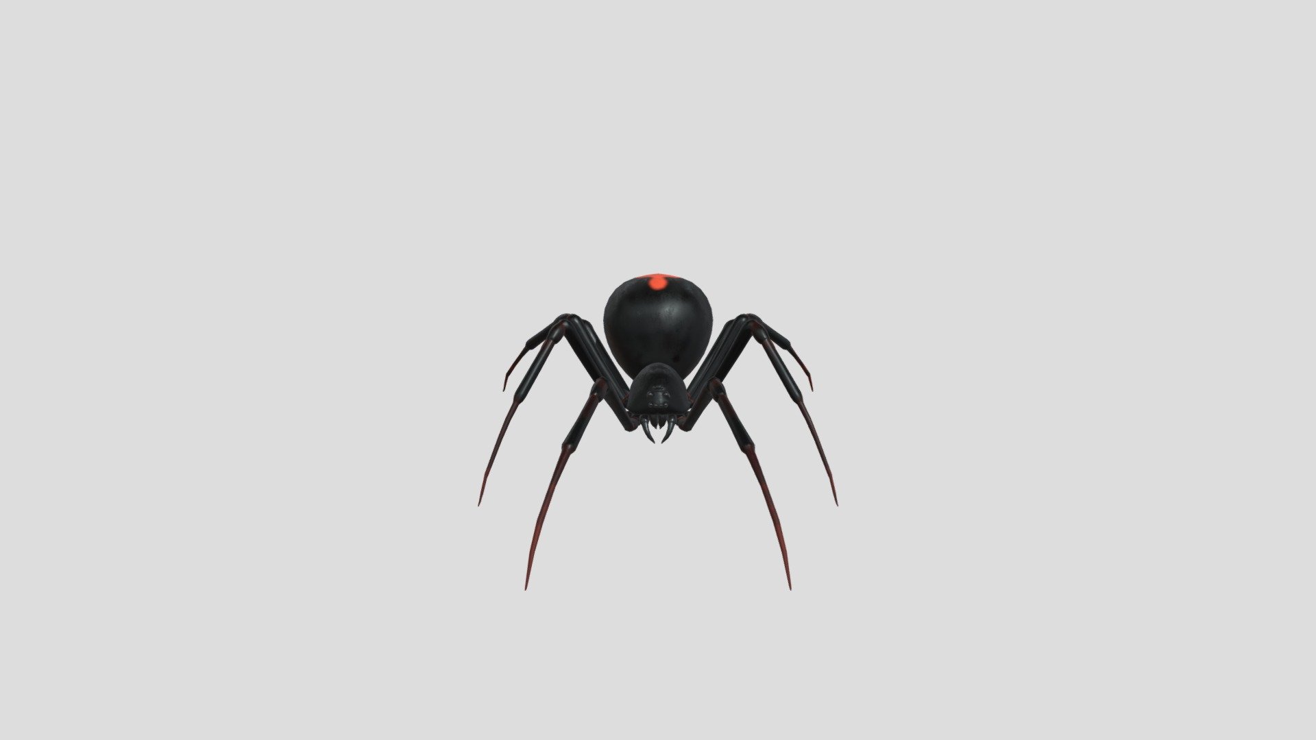 Spider - 3D model by THE GReEN DEMon (@kawserparvez40) [c4337c9 ...