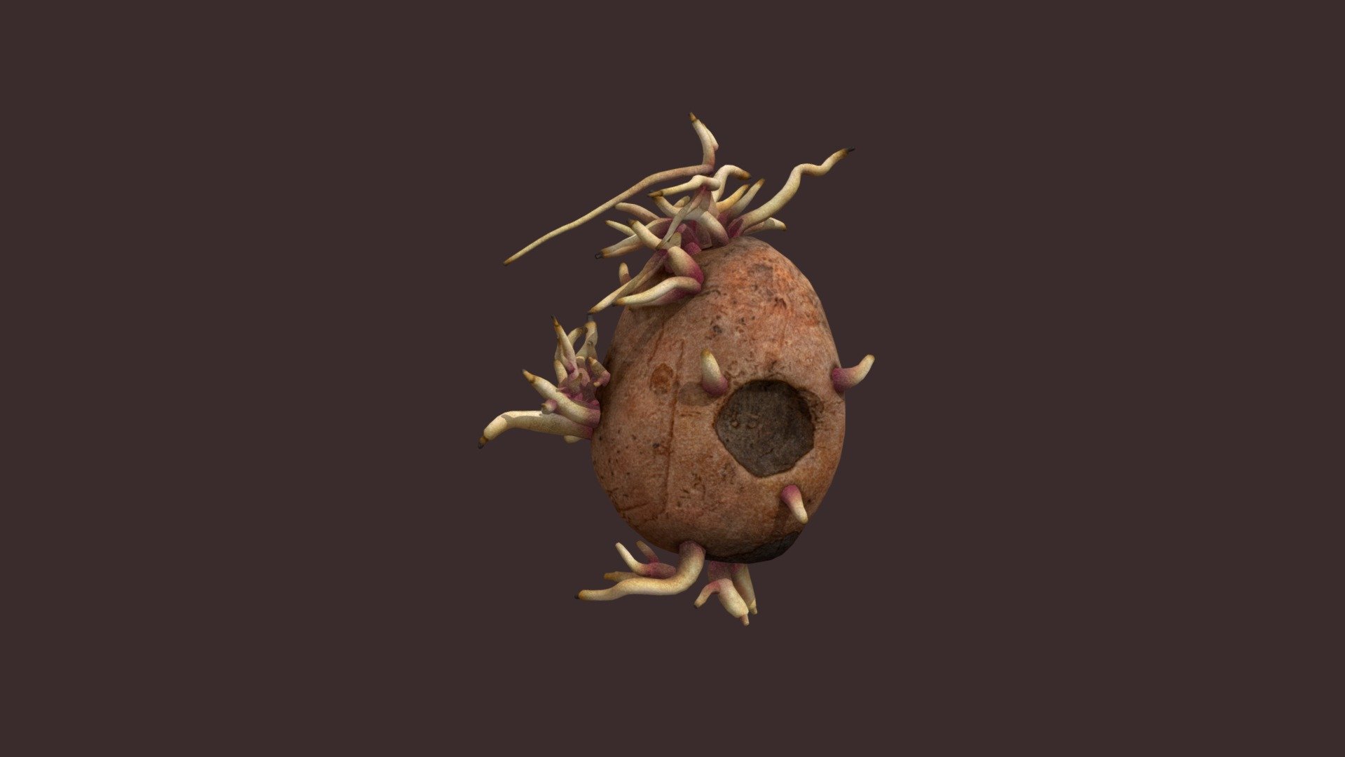 Potato_ Model - 3D model by Magma.B (@magmaBerc) [c4354f6] - Sketchfab